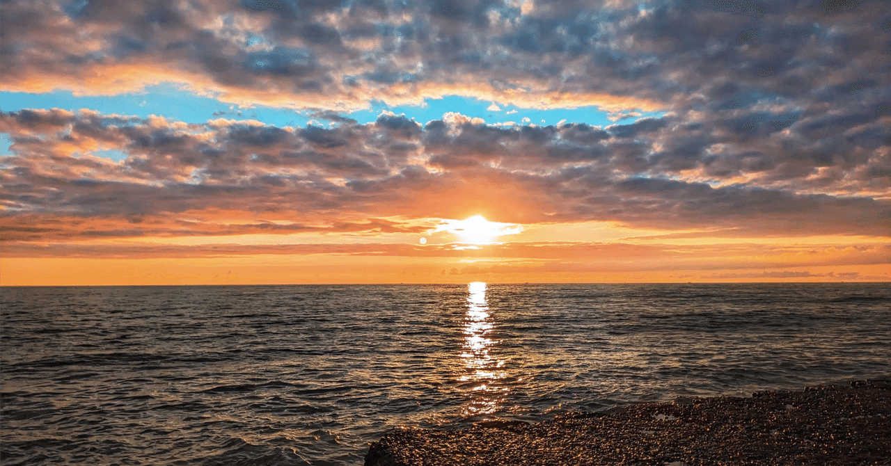 シーバスを探して釣って食べるnote｜kako_jun