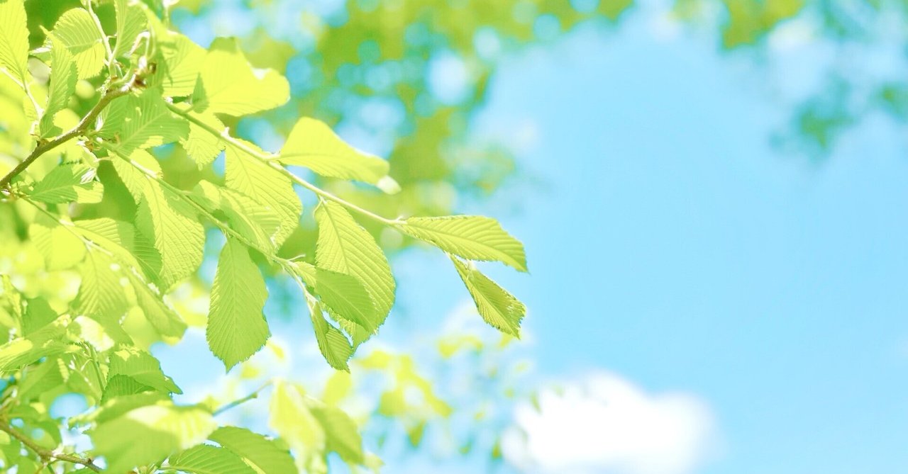 【エルムS・レパードS】ダート重賞ウィークにダート種牡馬を勉強しよう｜gan-nosuke