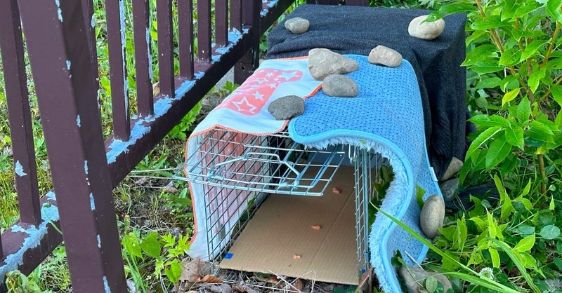 元気が出る言葉！〜Come back HAPPY⑪｜Hiroyuki.M