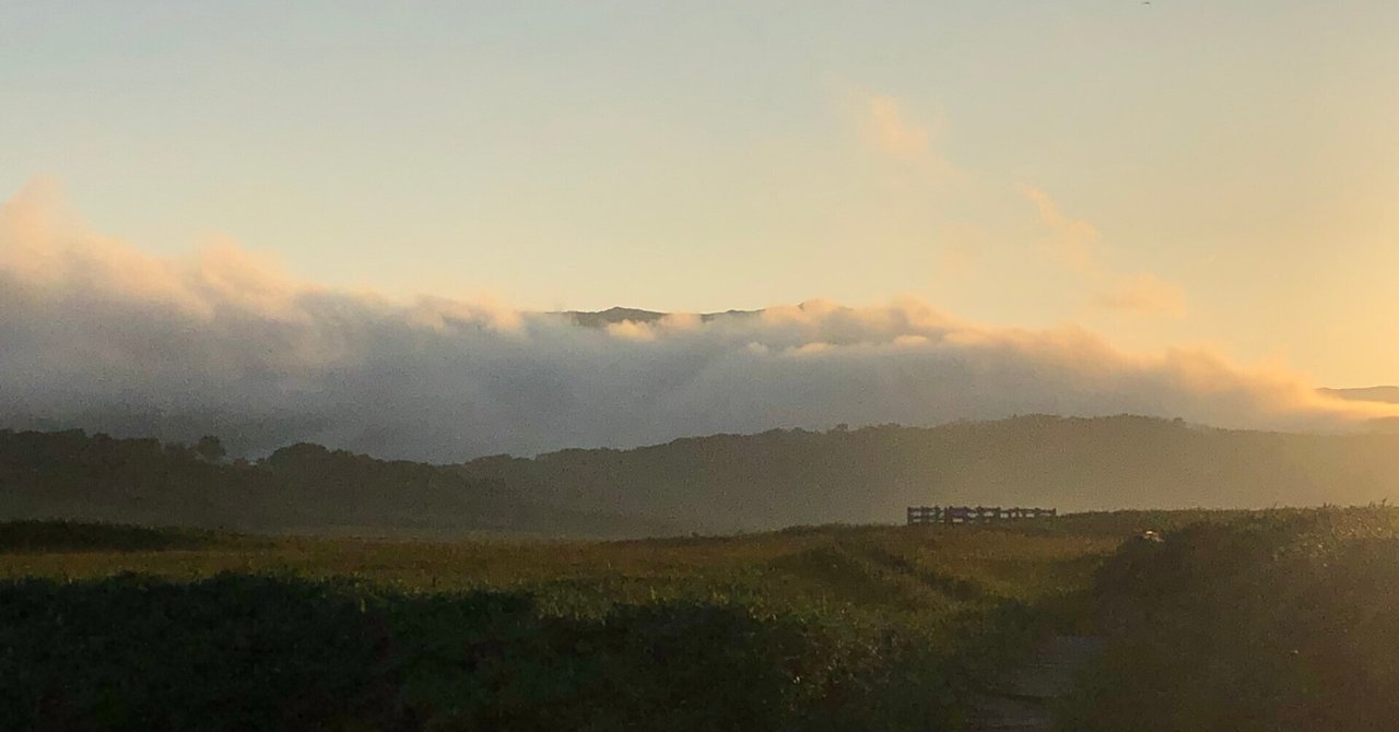 こうして夫婦がすれ違った｜Shingo