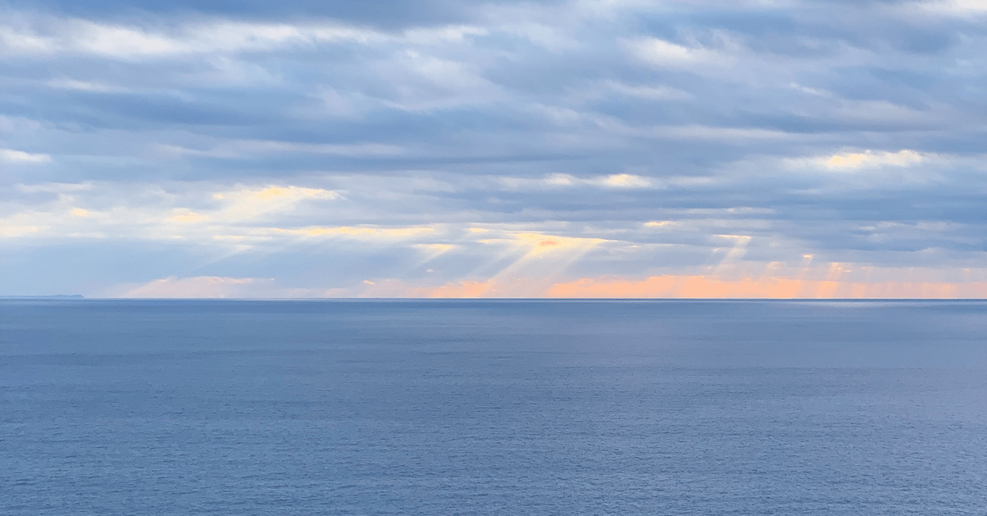 kimie kobayashi｜note