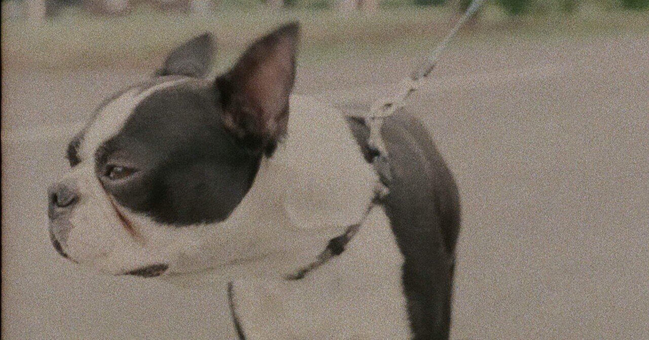 2023.7.21｜藍谷凪｜aitani nagi