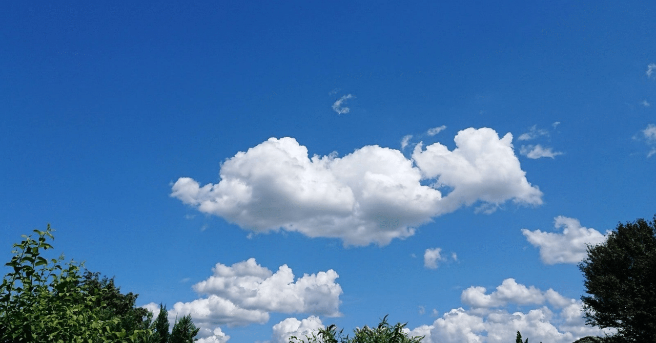 インボイス制度って｜sevenzen