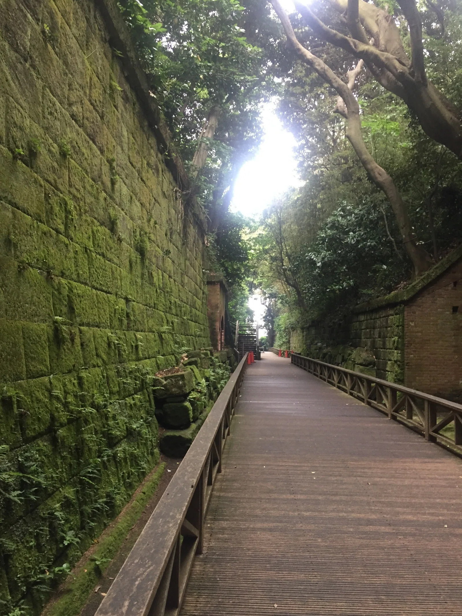 Rei Ka｜note