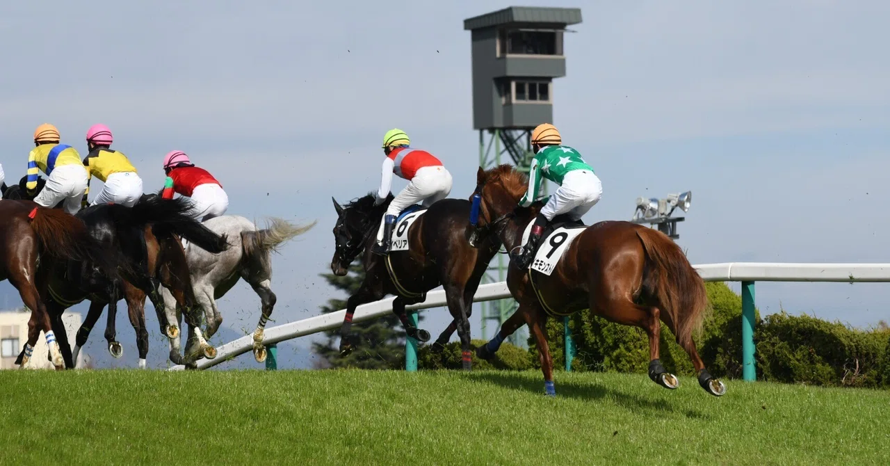 大樹レーシングクラブ 2023募集馬(2022年産)AI馬体診断｜Koji Maeda