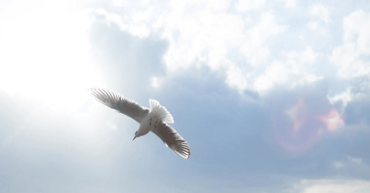 49.「田舎」に合わせていた私。｜Riko Kuma