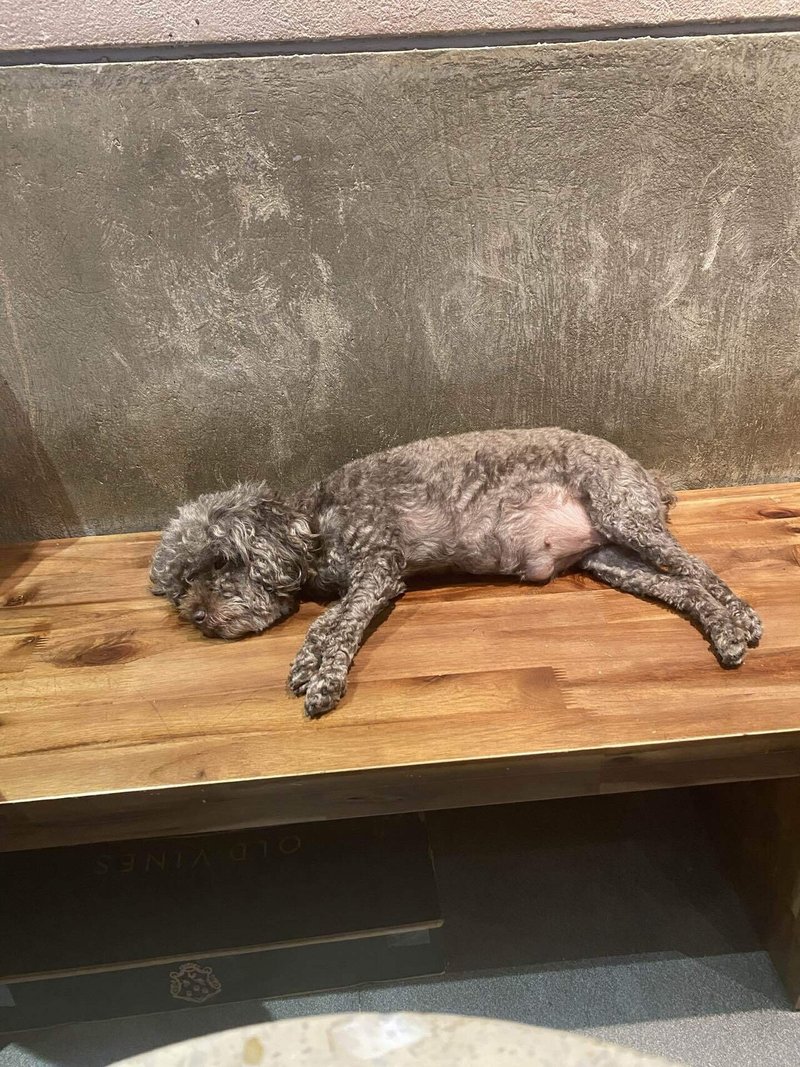 オバマも来たブンチャー屋【東南アジア編＃5】｜Yuya INOUE