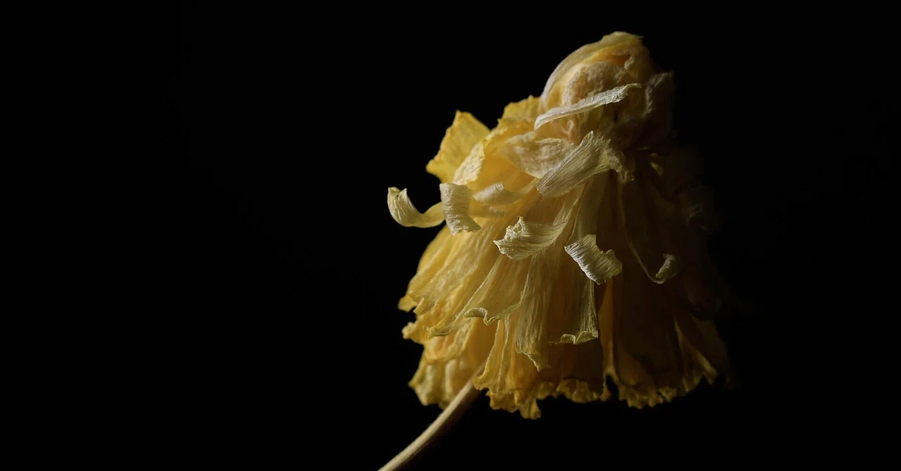 What Method Thinks About 'Composition of a photograph'｜Master Photo Method