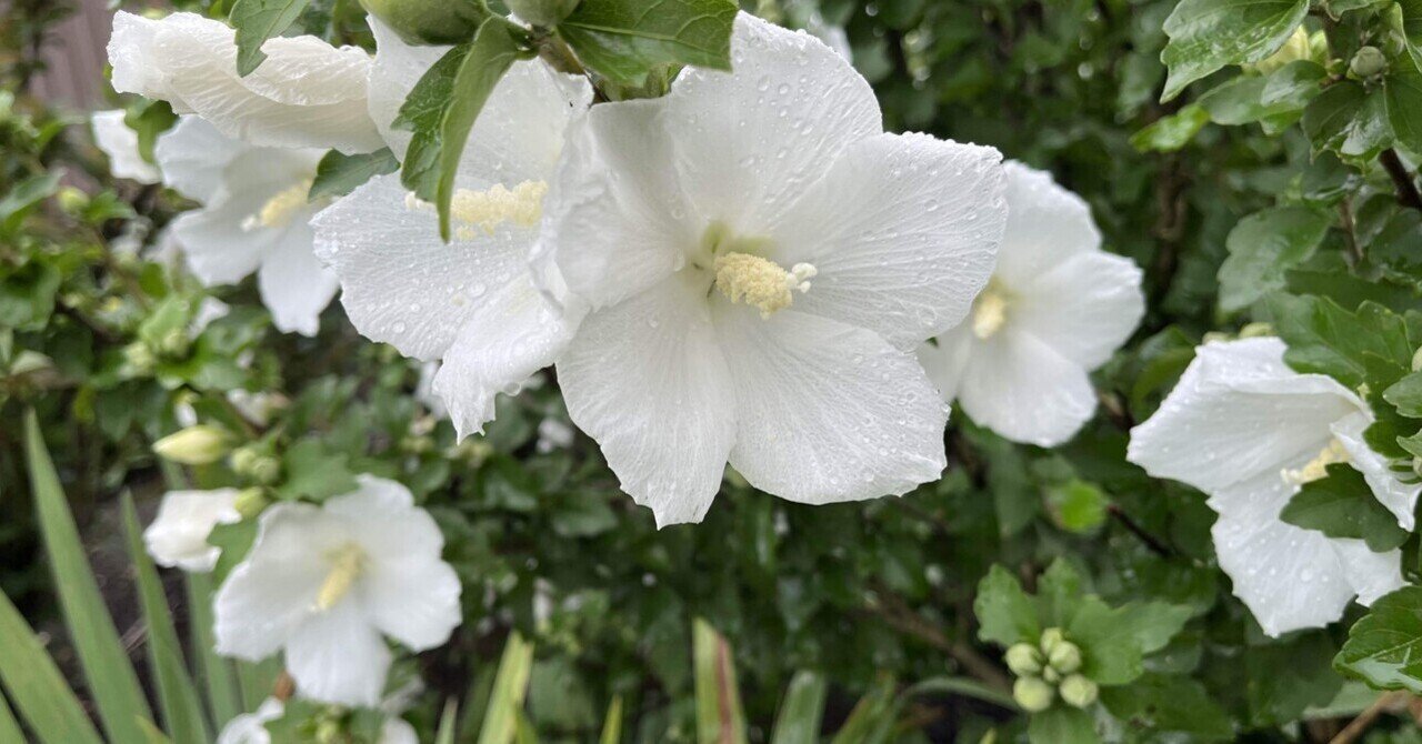 ご縁よ！おかえり｜みっちー🌈Michiko Tsukuda