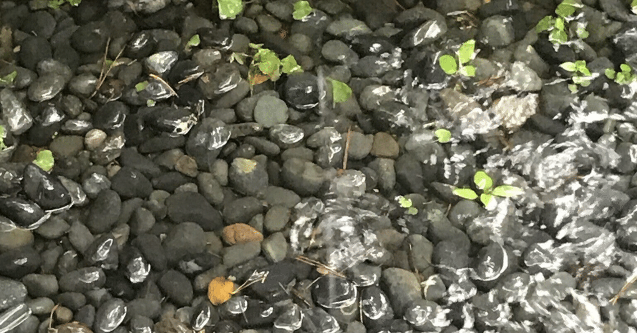 悲しみはどうやって癒すのがいいと思う？｜Nautilus