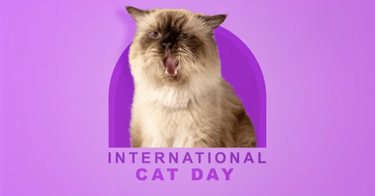 8月8日は世界猫の日|煌乃☆拓光/キラノ☆タクミ