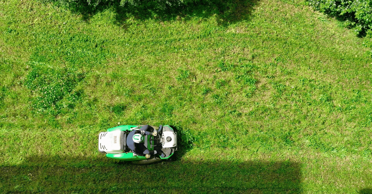 人工物と天然記念物｜nagi