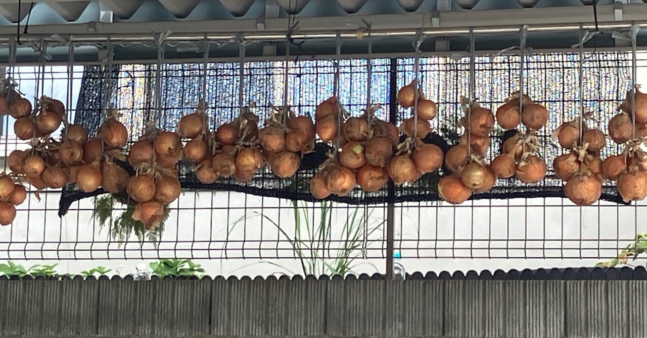 ふと・・・思う｜poporin