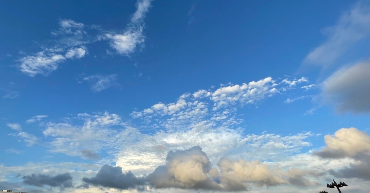 好きなものにだけ繋がるお覚悟｜Miyuki Suto