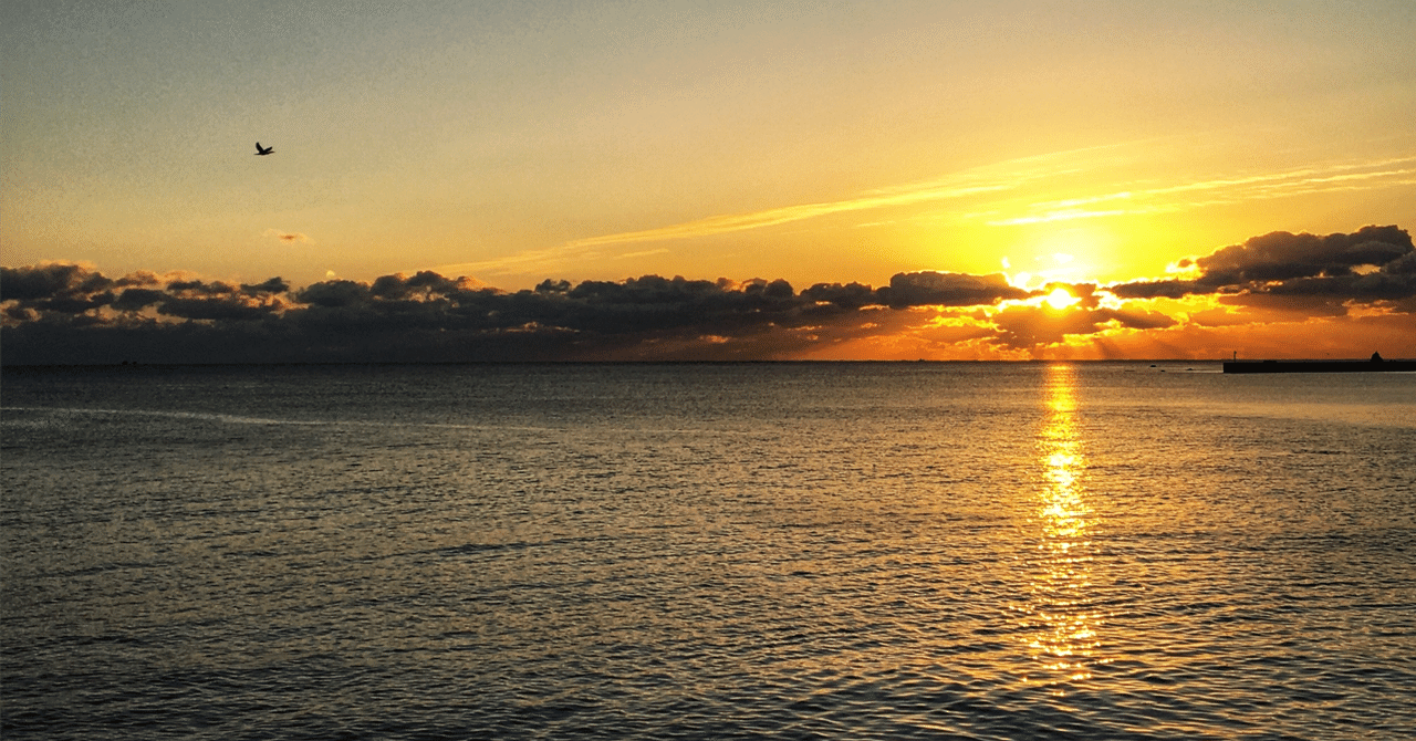 20230808（彼の日の思い出）｜miebi