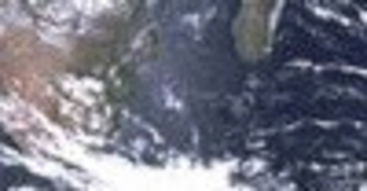 GIFとの遭遇：選択的認識と低解像度のデフォルメされた世界 ｜mmmmm_mmmmm