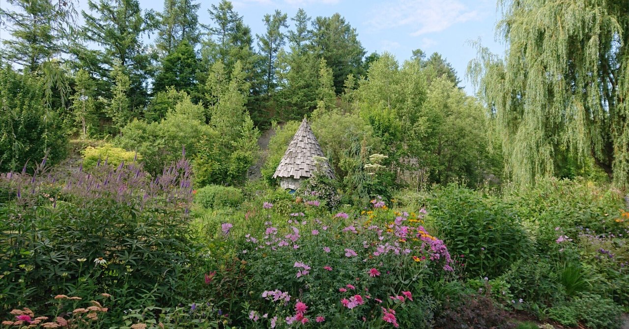 初めまして｜mayumi O