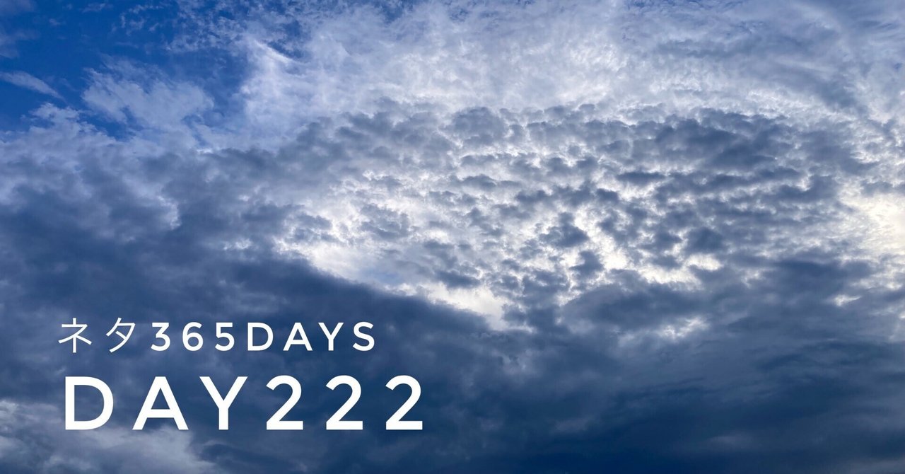 【ネタ365days day222 契約解除】｜Timmy