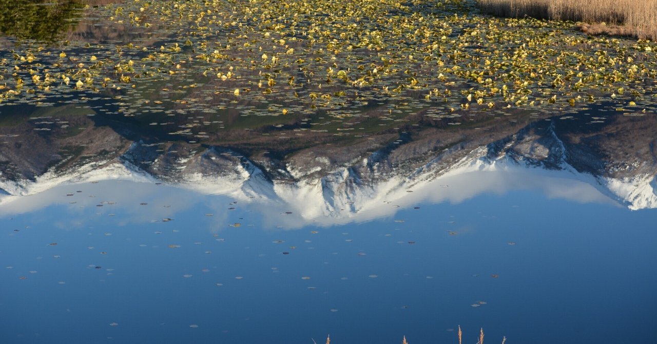 逆張りで人生に臨むことの輝き｜Kenichi Aichi