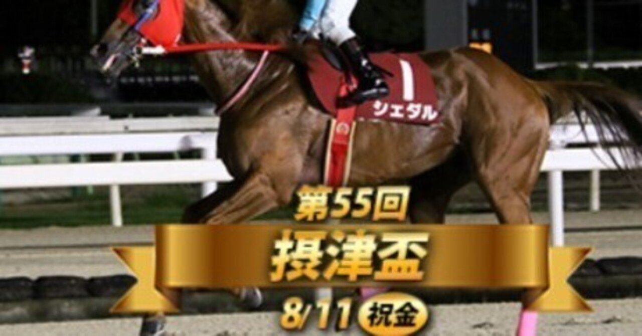 【園田🔥勝負レース👊🔥】811（金）【11r】摂津盃 重賞1（発走時刻1955）｜さやだま