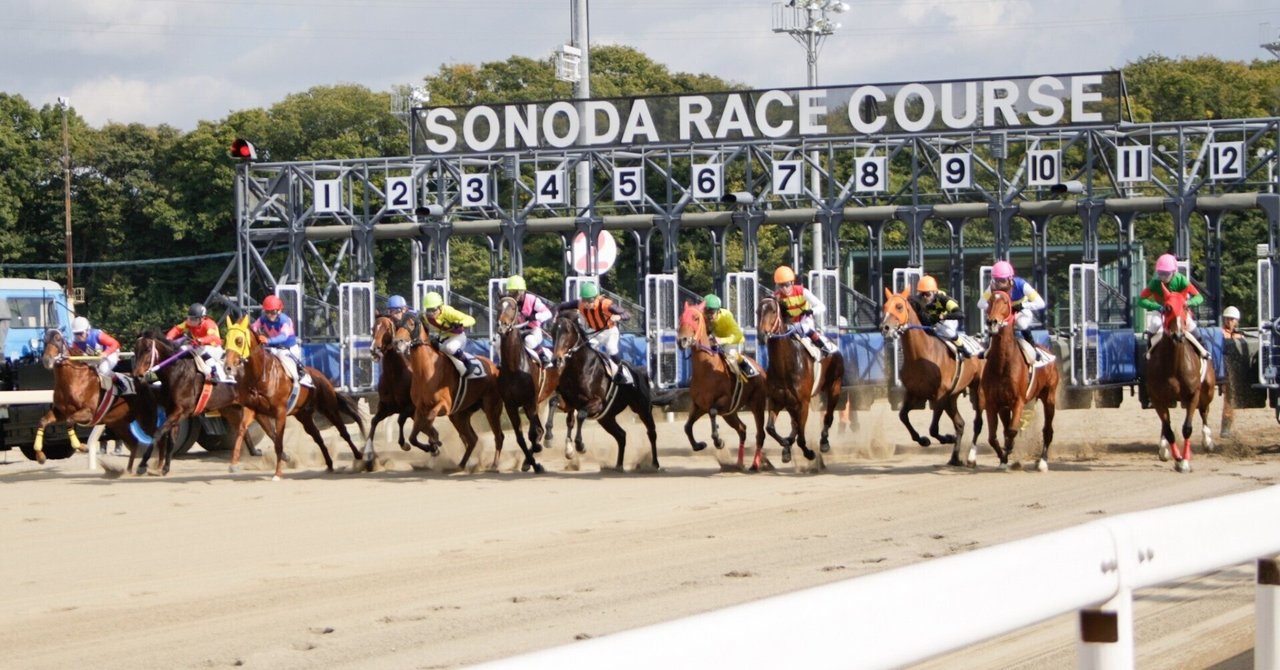 【園田🔥穴馬激走🔥勝負レース👊🔥】811(金)【12r】園田サマーカップ (発走時刻2030)|さやだま