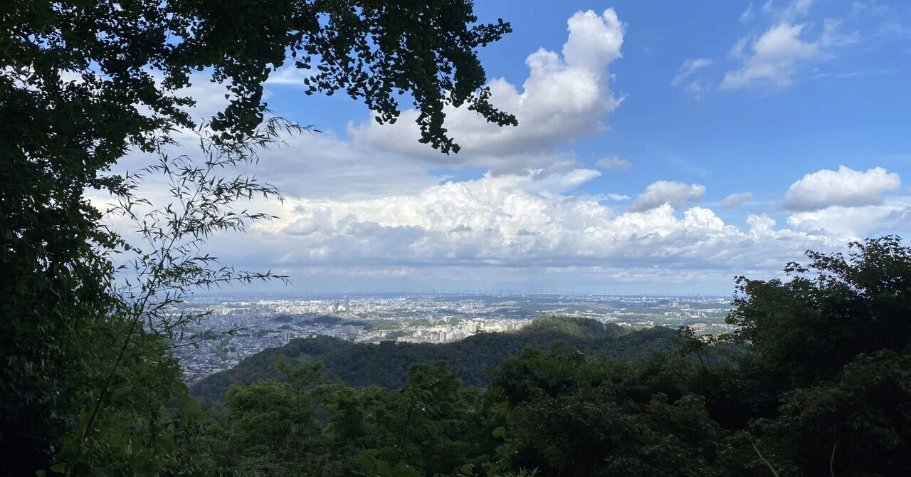 Exploring the Beauty of Mount Takao｜旅するフォトグラファーseed of happiness