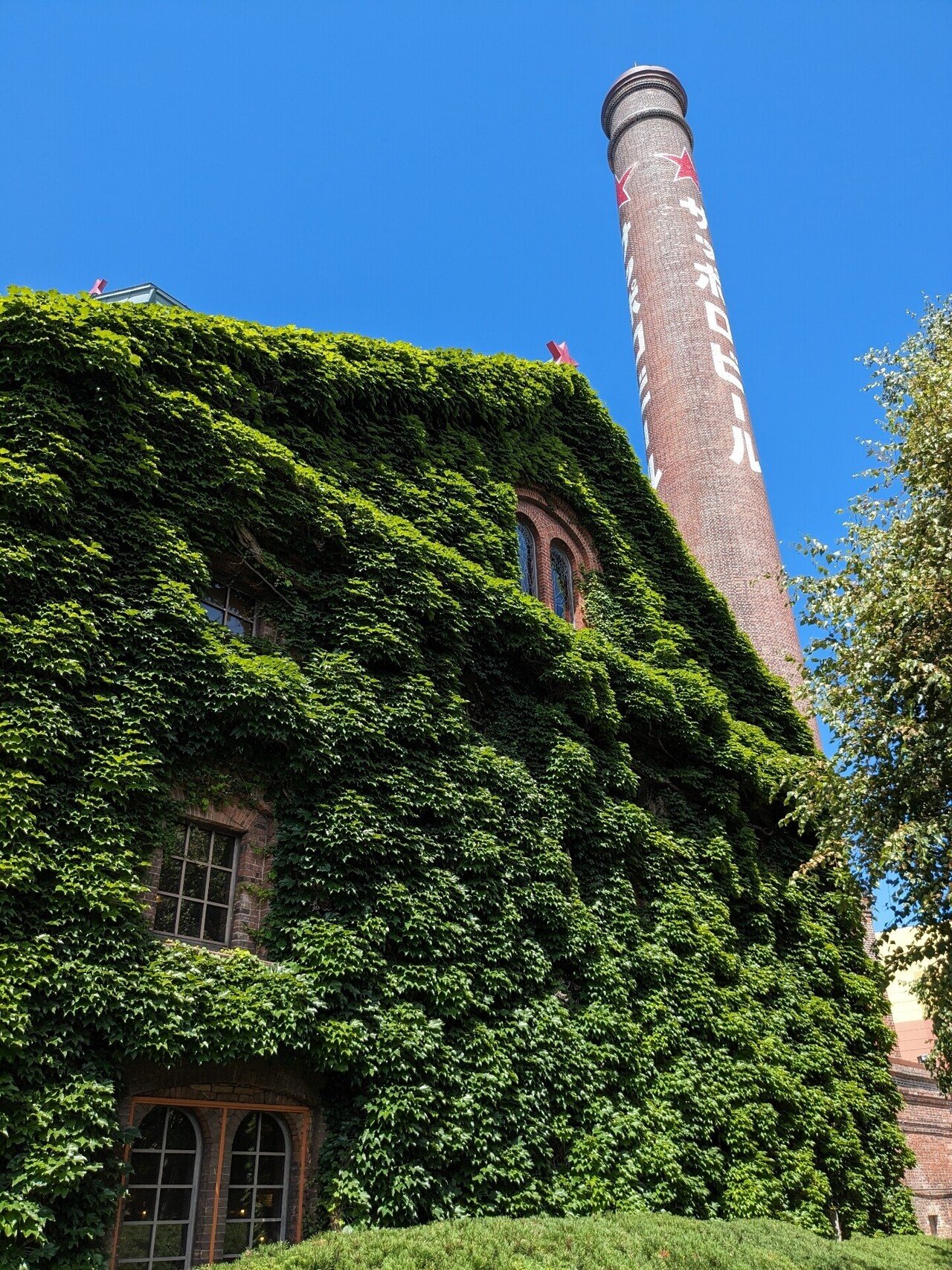 今年の試飲｜nyao@読書と編集