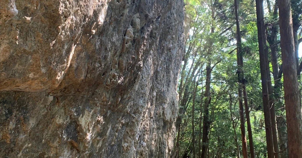 完登の集中力｜noob_climber