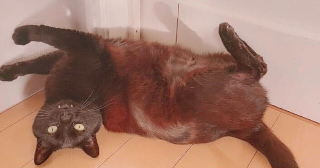 いまさらメタバースアプリとか作って意味あんの？（fratt開発メンバー：さとちゃん）｜fratt開発チーム