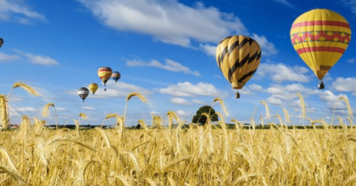 ポジリーマン｜note