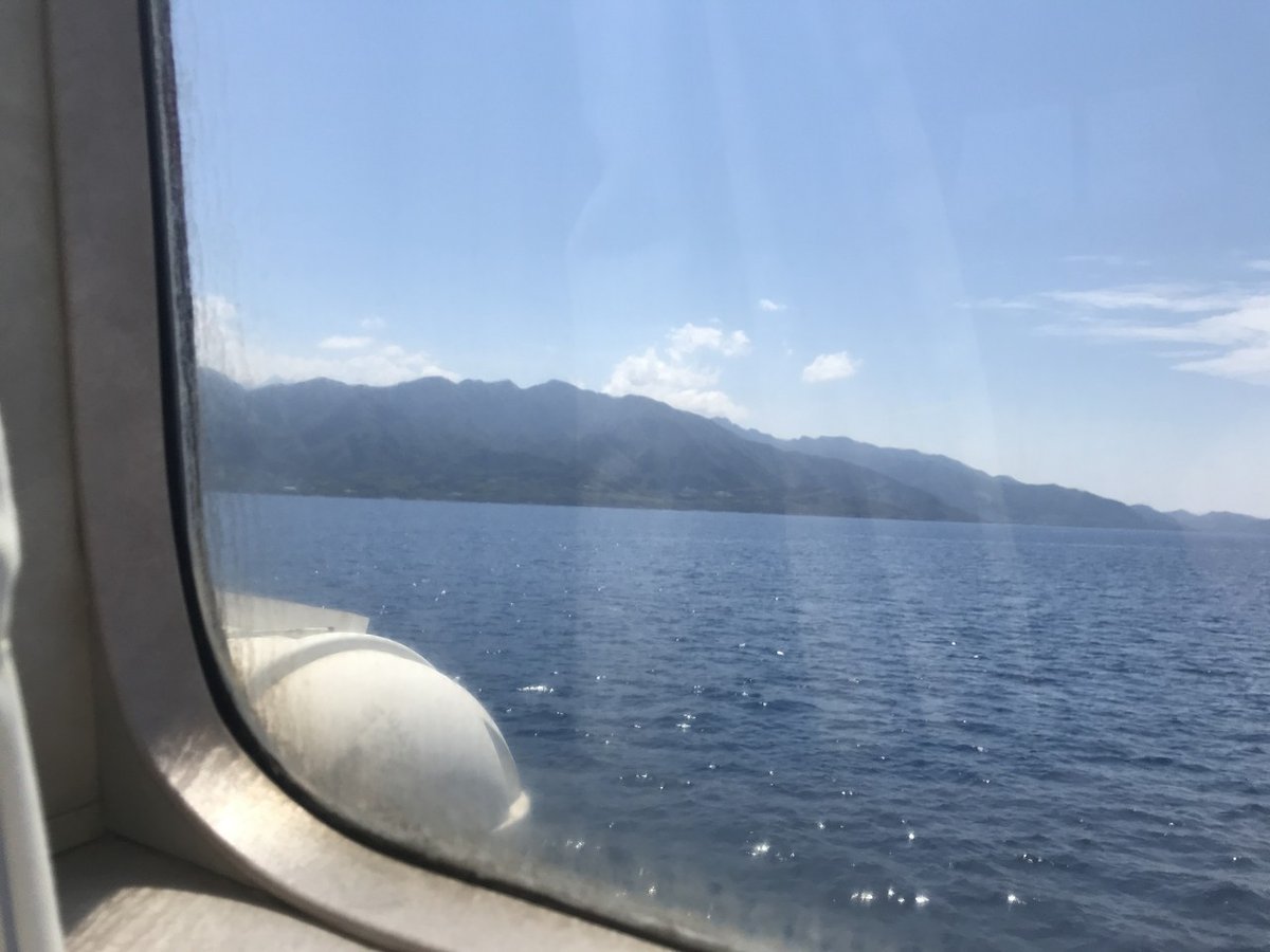 【自分探し】ひとりで屋久島に行ってきた。 その1｜rou kodama