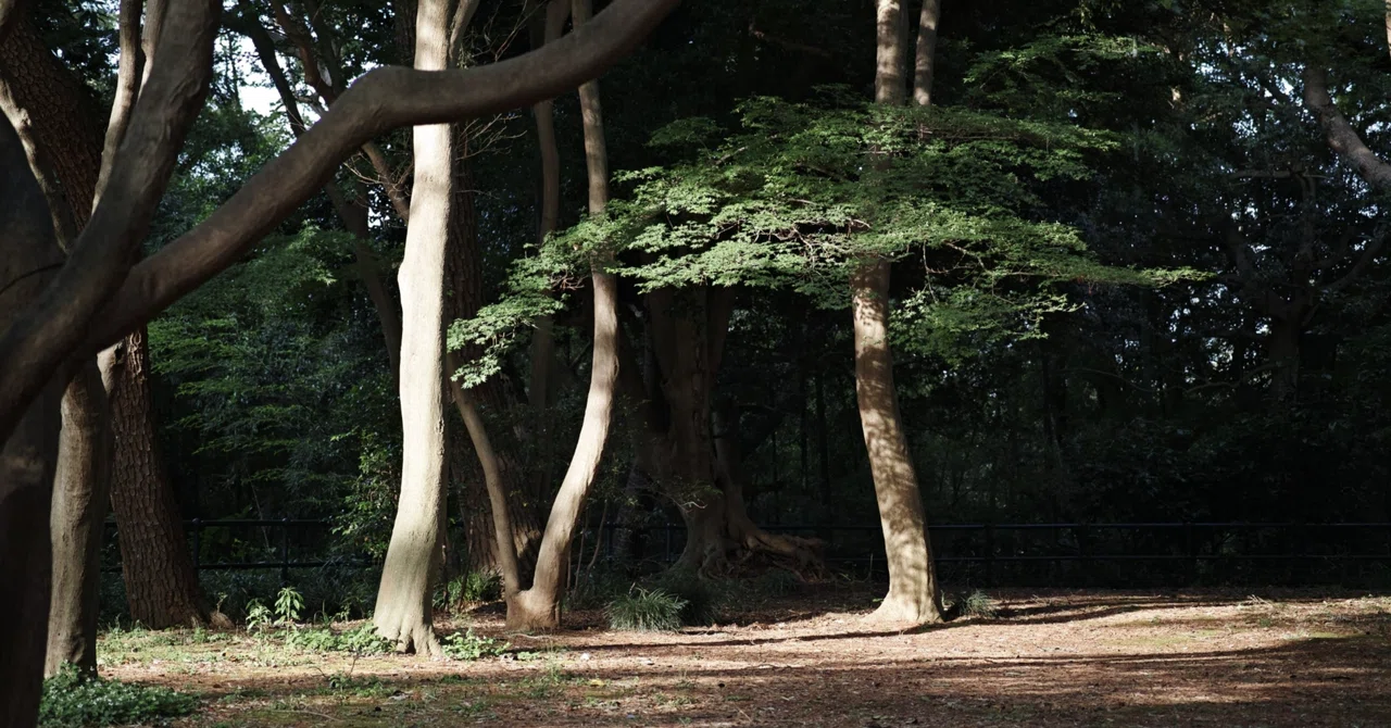 "Magic is Like the Wind" Episode 5｜あーや