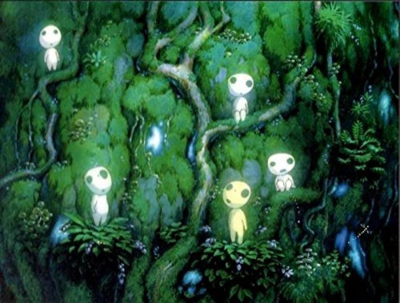 【もののけ姫】ひとりで屋久島に行ってきた。 その2｜rou kodama