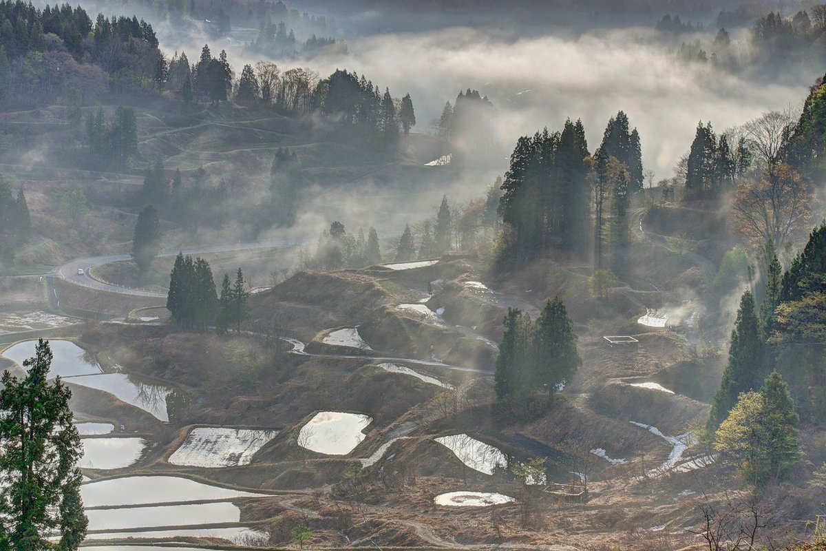 星峠の棚田」の人気タグ記事一覧｜note ――つくる、つながる、とどける。