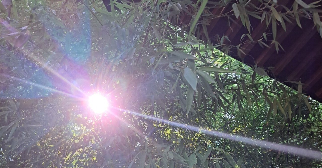 勘違いだと気づけた時、自分の答えがやってくる｜Stella garden‐ステラガーデン‐｜井藤雅子