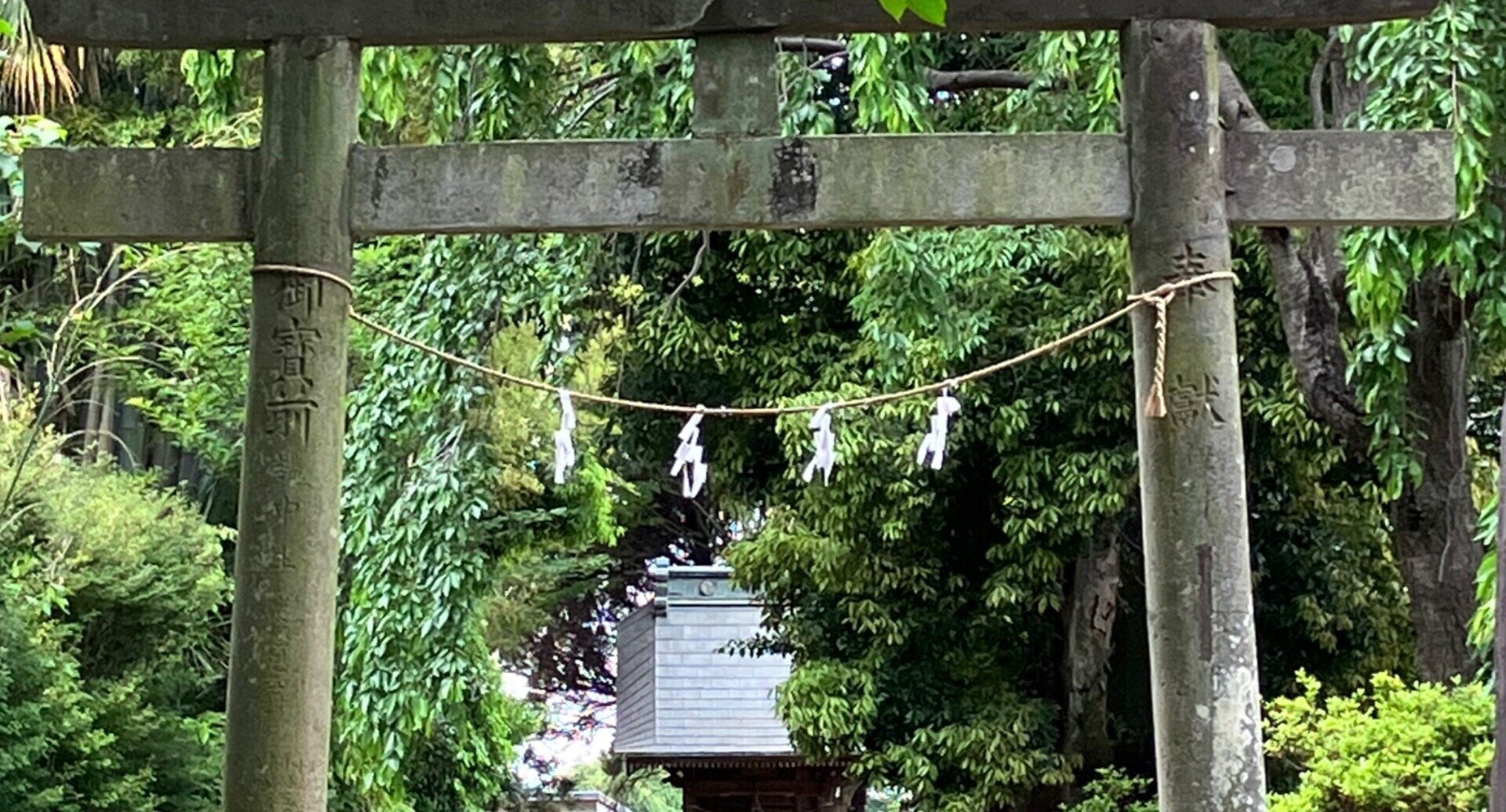 由真 〜yuma〜｜note