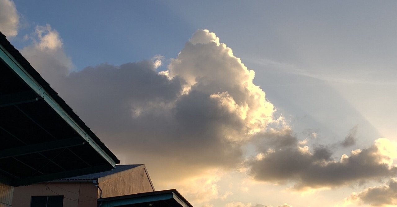 寂しさが紛れる｜Akira Someya