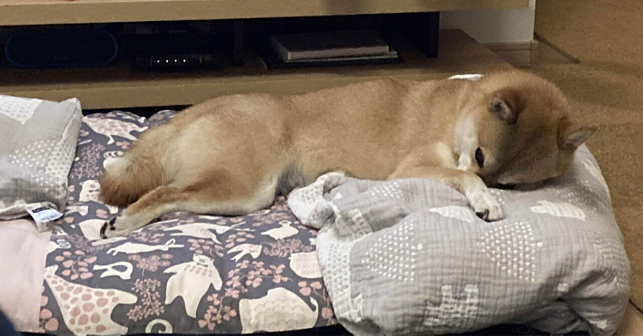 お盆休み2023＊4日目｜723nk