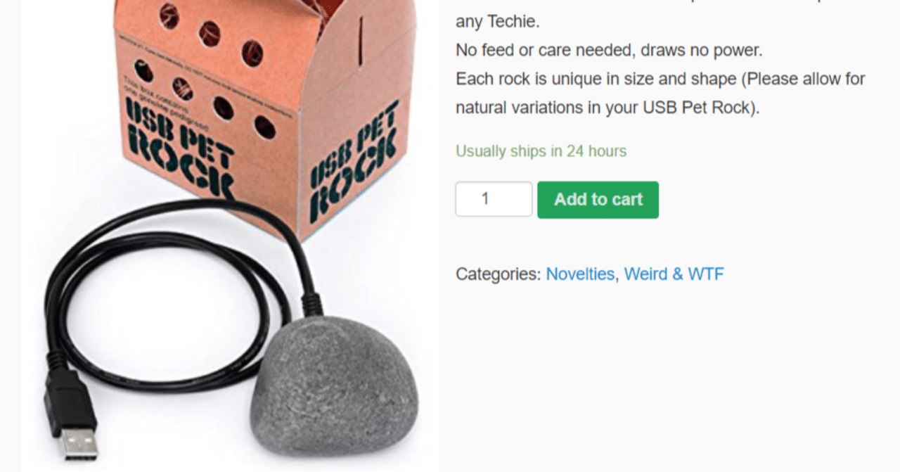 USB pet rock｜いちべえ