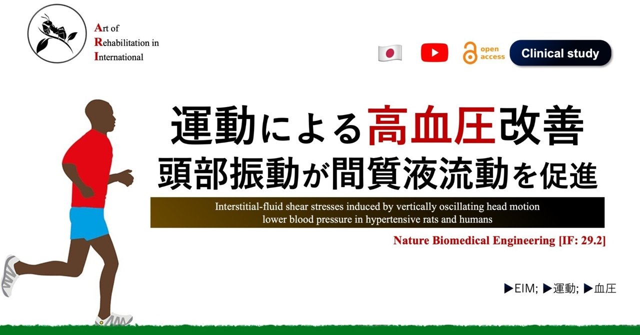 運動による高血圧改善。頭部振動が間質液流動を促進｜super Human 理学療法士／保健学博士 Phd