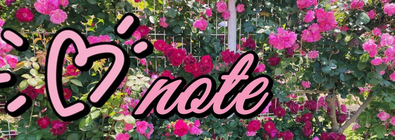 春原美桜(miosuhara)｜note