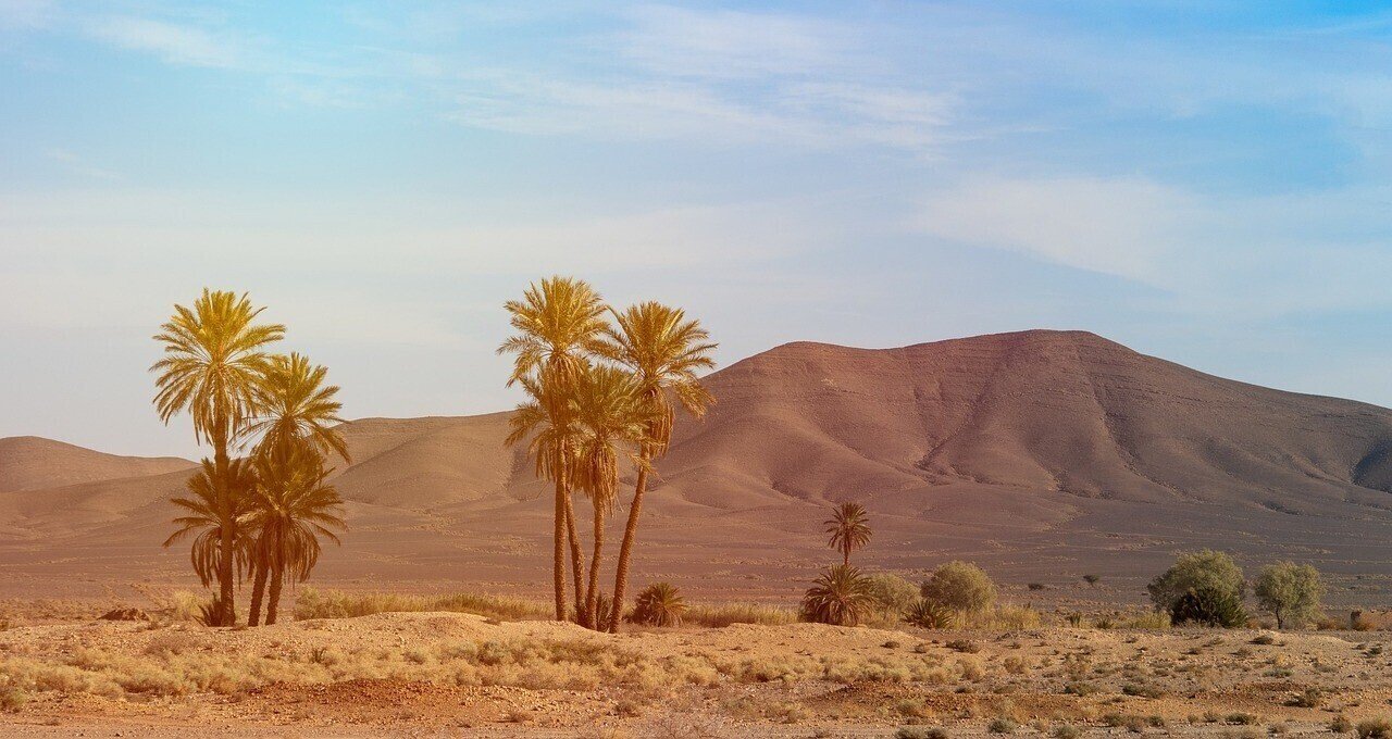 Horisawa Kazuki｜note