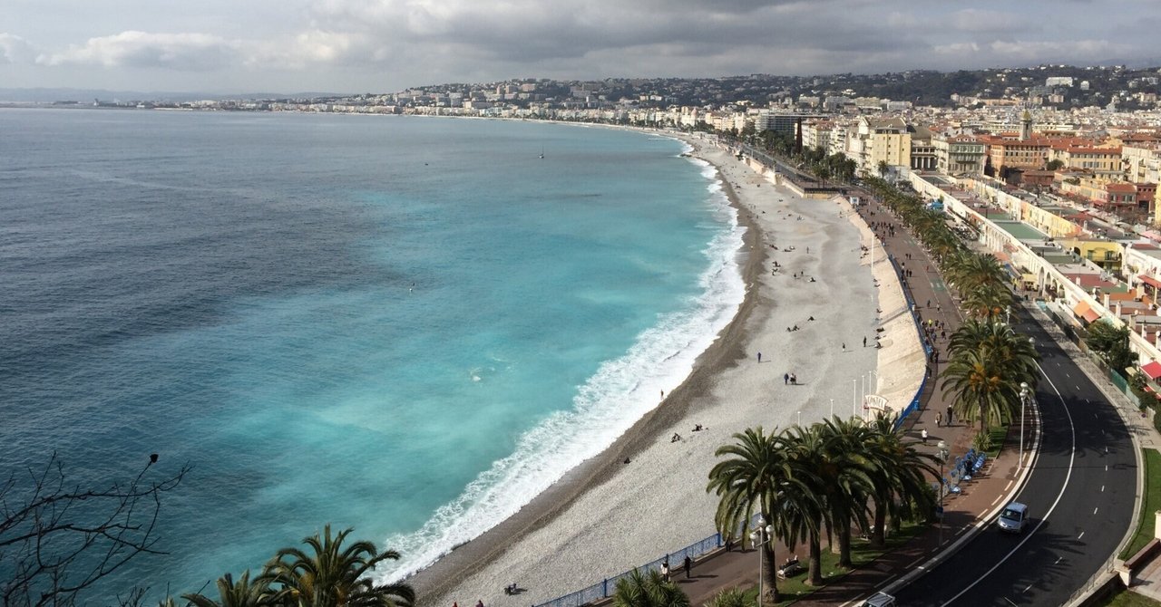 ショートエッセー「肉食獣は緊張しない」｜鳴海邦彦 / KUNIHIKO NARUMI OFFICIAL