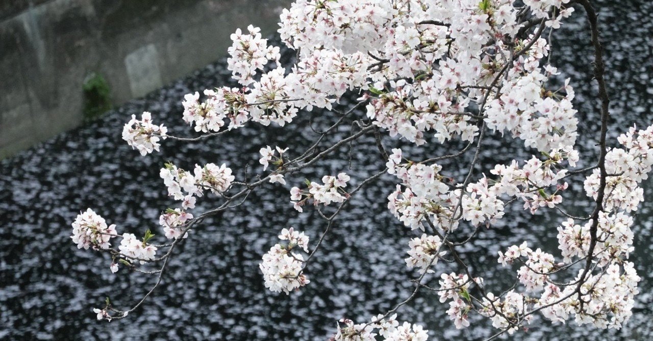 社外広報がもたらす、「知られる」以外の見えにくい効果｜Noriko Nakane ｜note