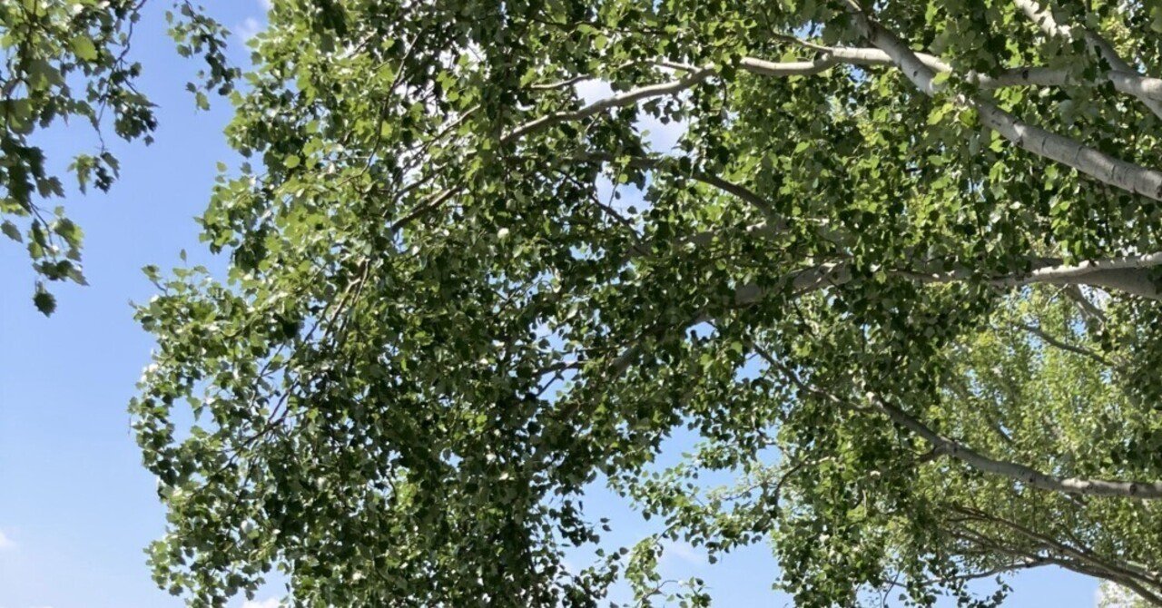 ラメとにらめっこ｜Atsuko