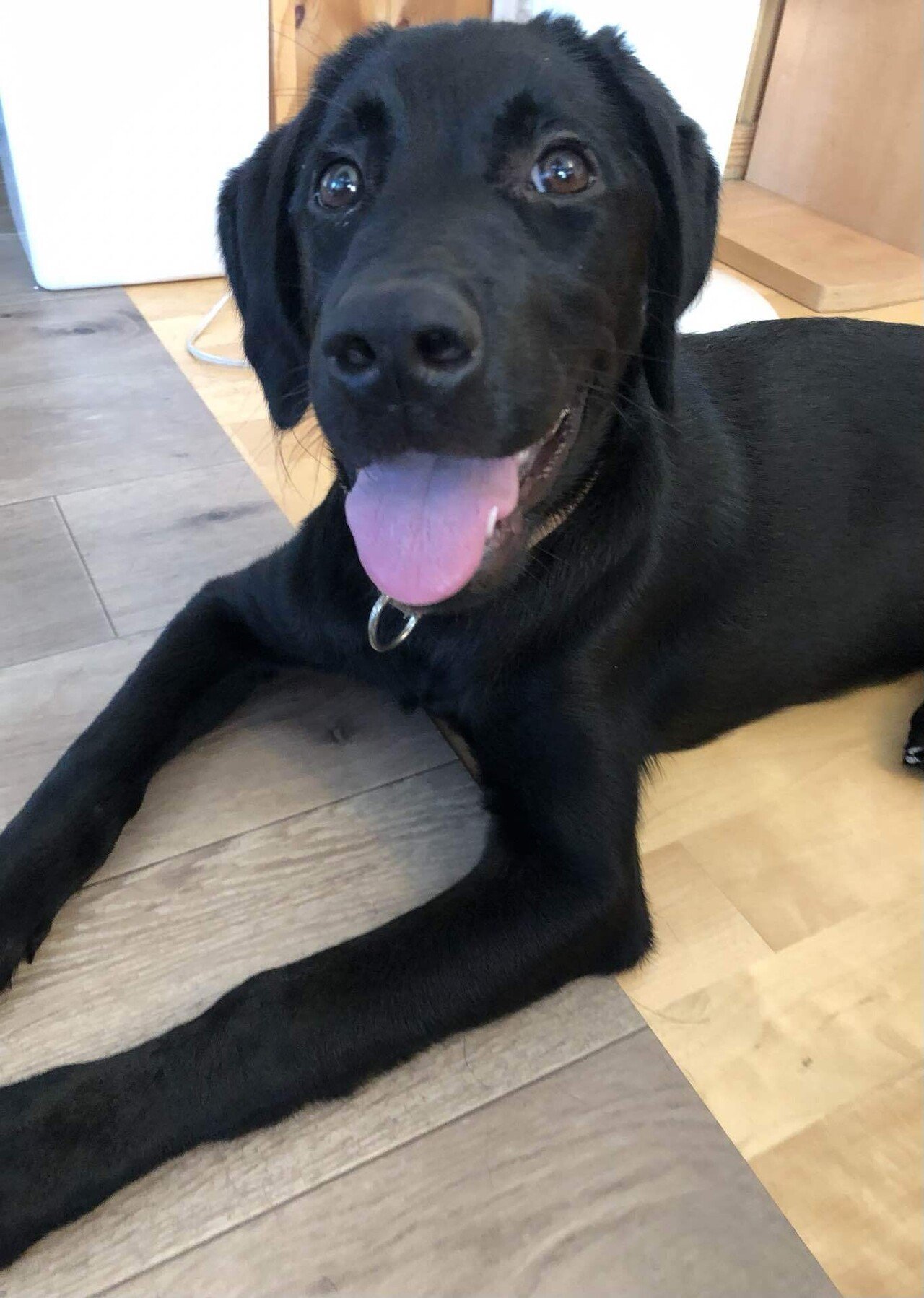 公園デビューしてきました。｜ユメカ（Yumeka.yy）