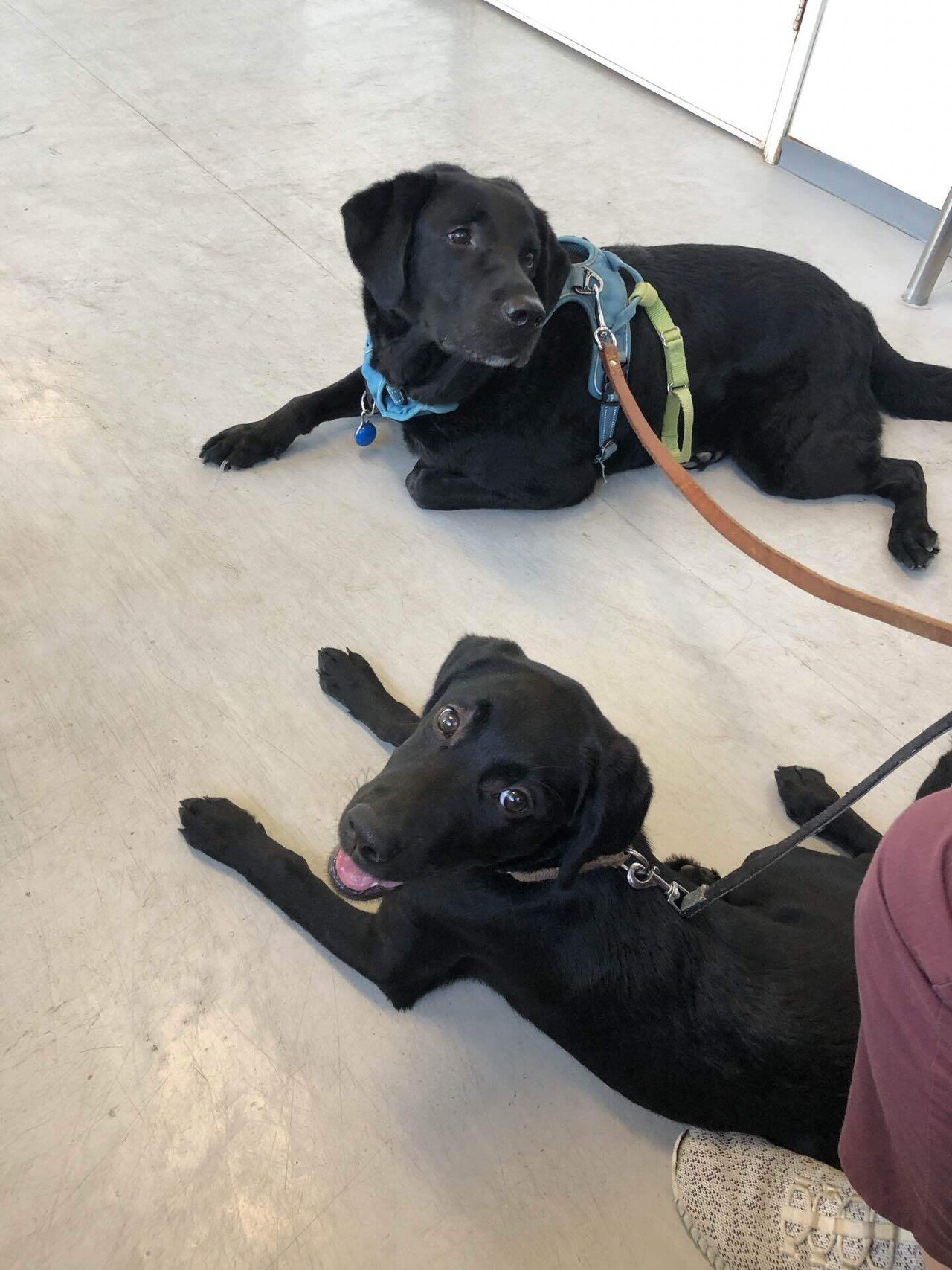 公園デビューしてきました。｜ユメカ（Yumeka.yy）