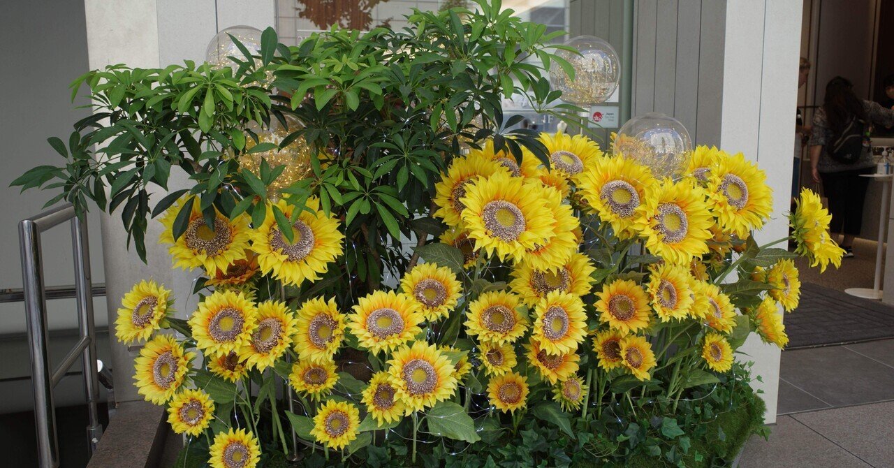 GR3散歩(銀座)｜yuya_aloha