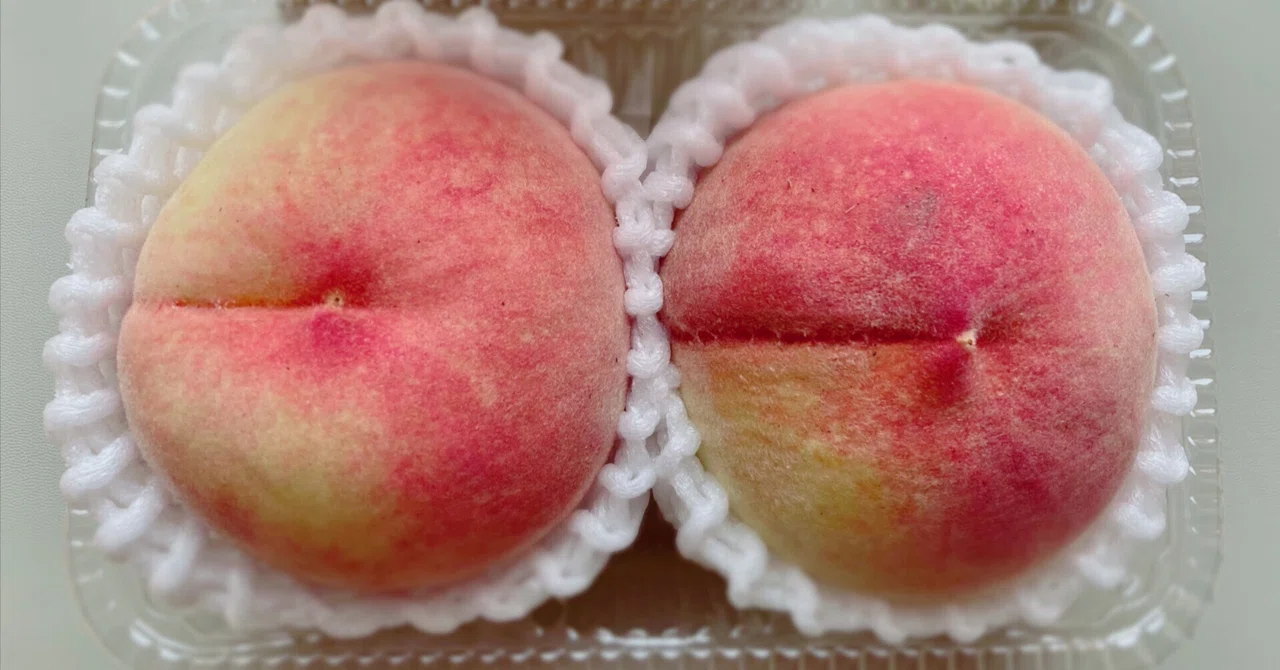 すいみつ 担当：須田さ紀え｜𝕕𝕒𝕣𝕤𝕠𝕠/須田 さ紀え