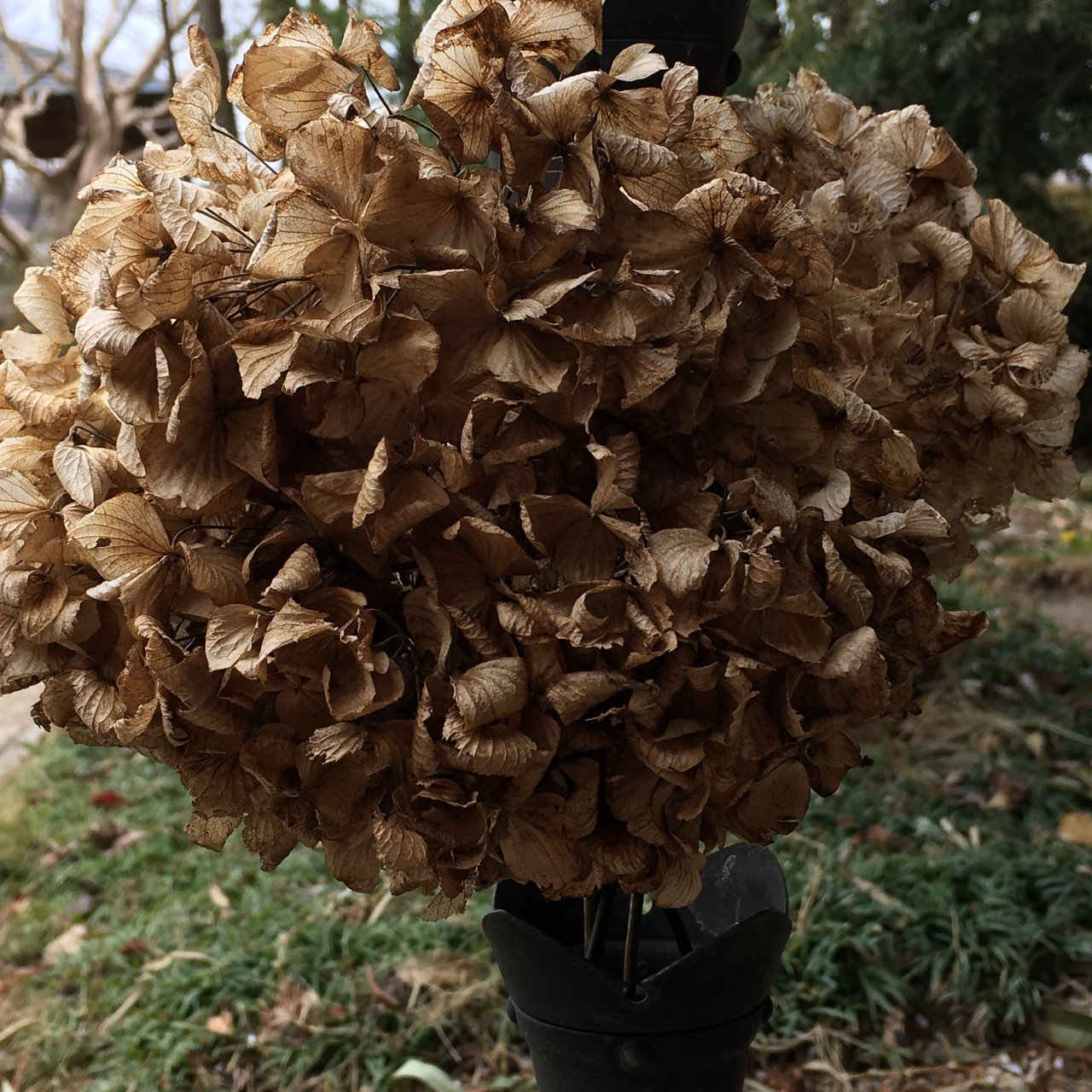 新しい時代を生きる｜阿邊里恵_rie abe